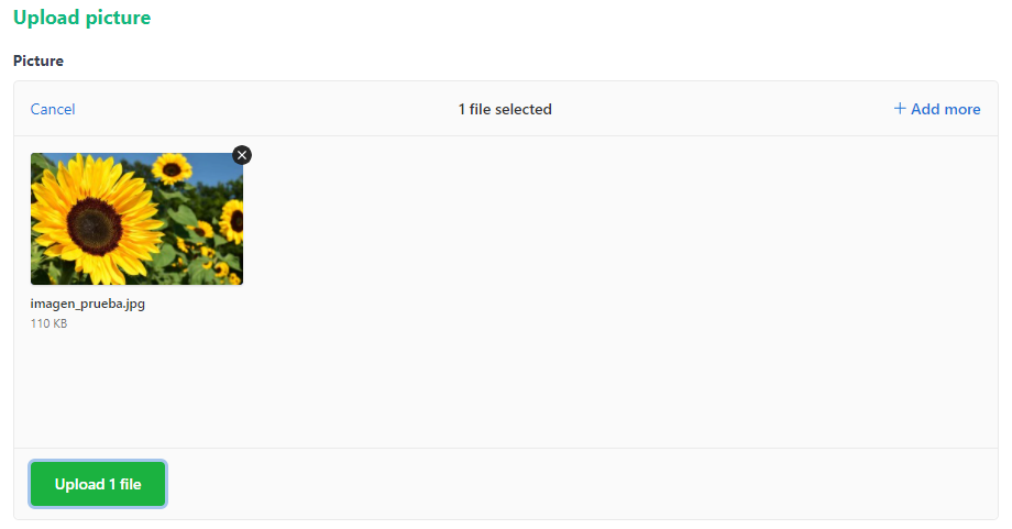Dashboard does not display StatusBar after styling changes · Issue #3324 · transloadit/uppy · GitHub