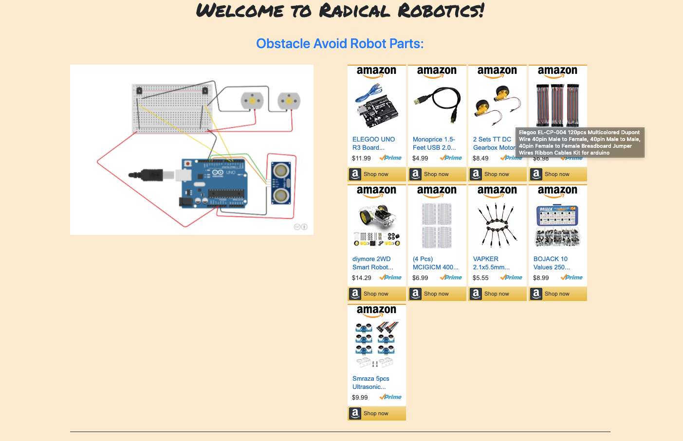 GitHub - kitfud/Radical_Robotics: Product e-commerce list within a ...