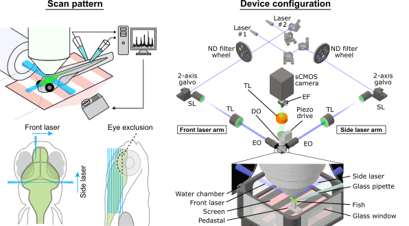 GitHub - KawashimaLab/PyZebraScope_public: This is a public repository ...