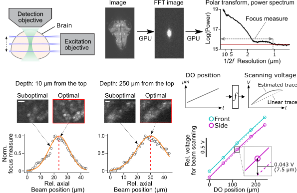 GitHub - KawashimaLab/PyZebraScope_public: This is a public repository ...