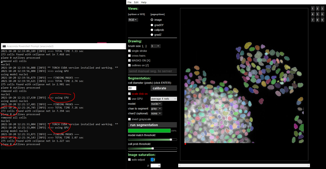 Different outcome with CPU or GPU based segmentation · Issue #351 · MouseLand/cellpose · GitHub