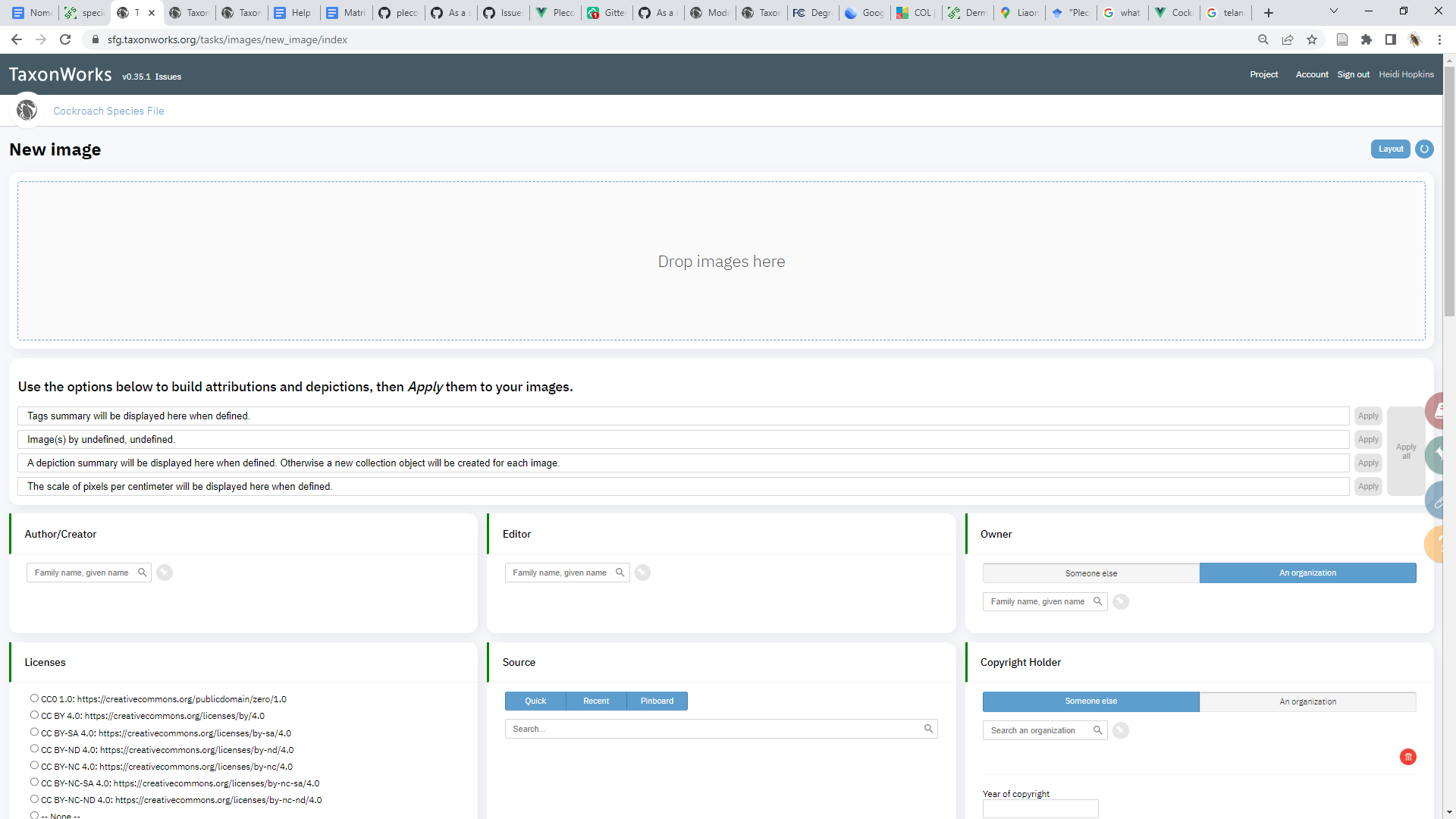 [Bug]: New Image task: Organization Copyright Holder does not transfer to the apply fields above ...