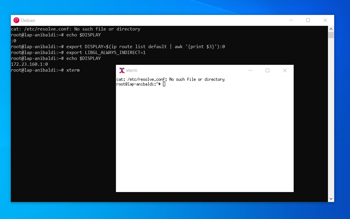 XOpenDisplay failed · AvaloniaUI Avalonia · Discussion #11756 · GitHub