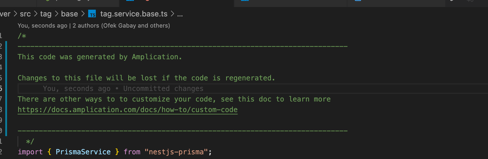 🐛 Bug Report: generated code message · Issue #2249 · amplication/amplication · GitHub