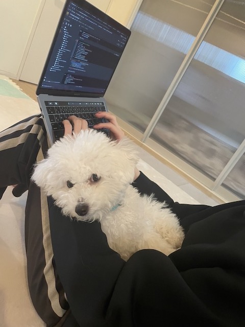 GitHub - JUNYA-727/YOLO_dog