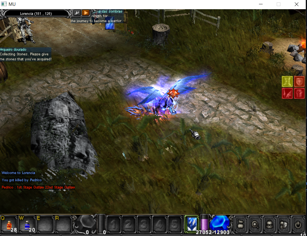 Skills Decay, Ice Storm BUG report. · Issue #262 · MUnique/OpenMU · GitHub