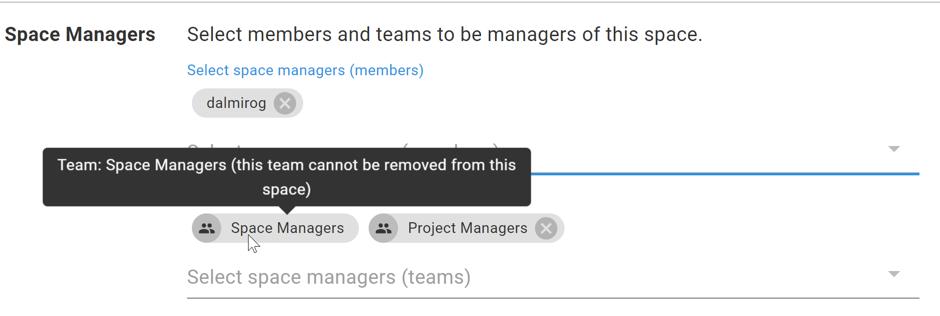 Team chip could mention that Space Managers team cannot be deleted from space · Issue #5389 ...