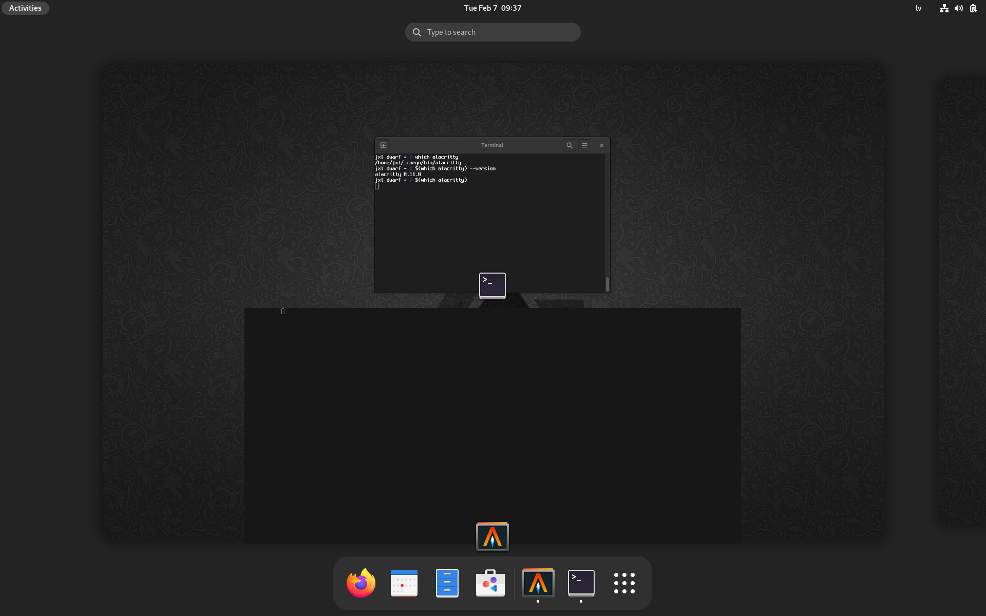 Alacritty terminal contents fail to render · Issue #6681 · alacritty/alacritty · GitHub