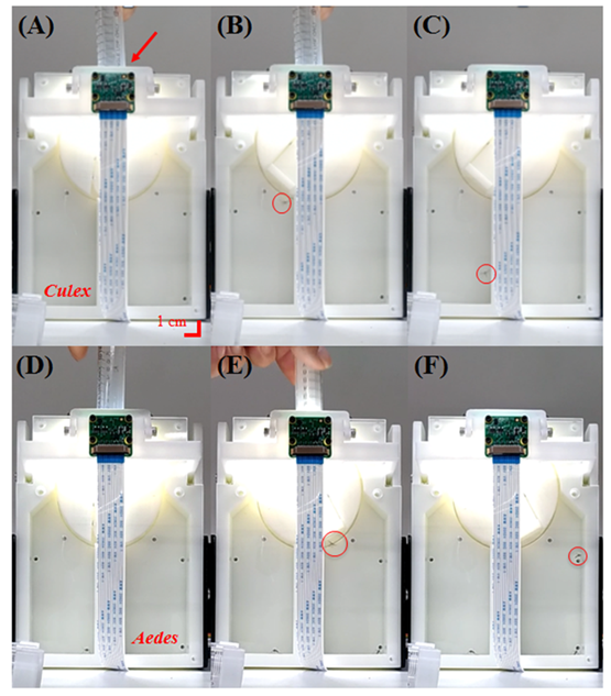 GitHub - gs336/NHRI-smart-mosquito-trap-system: A smart mosquito trap system with living ...