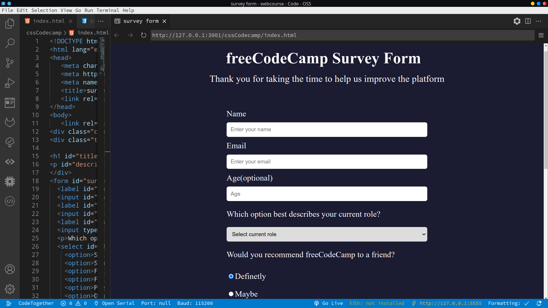 GitHub - moheranus/css-surveForm: this is css survey form project from codecamp