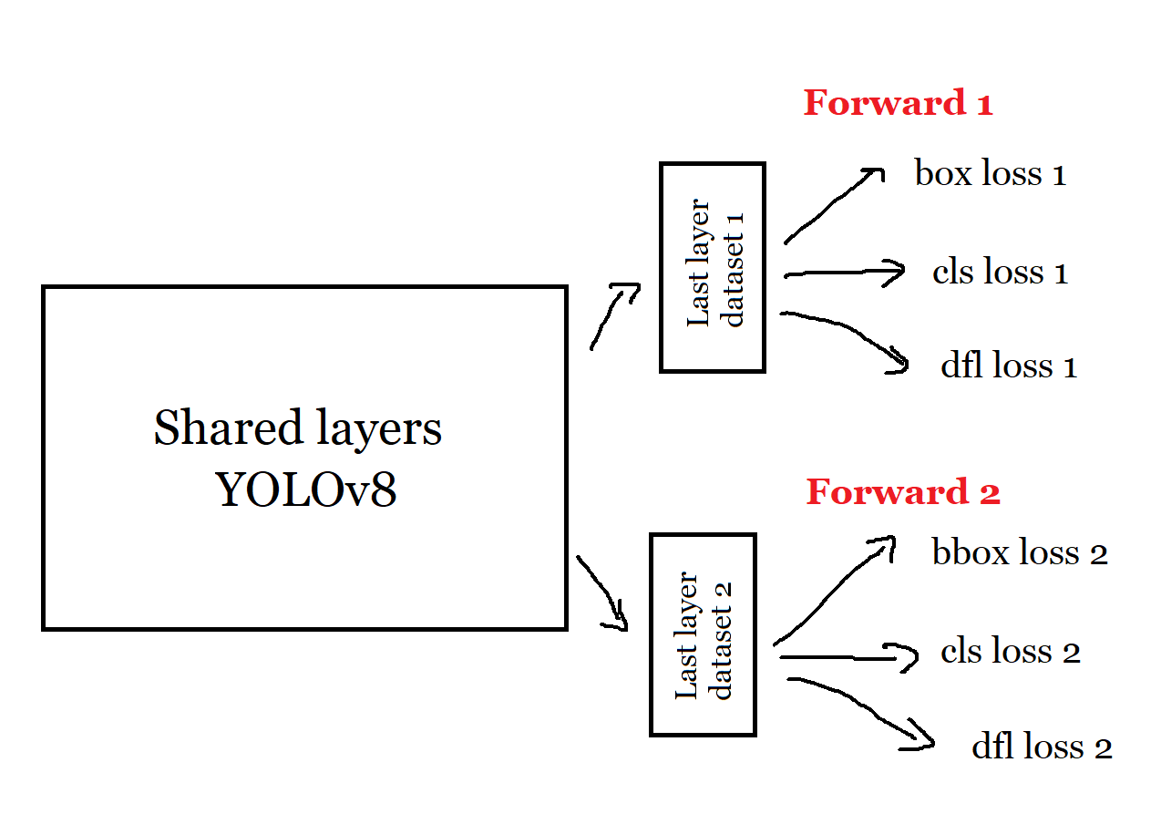 Loss masking for training a single YOLOv8 model on multiple datasets, each one with a different ...