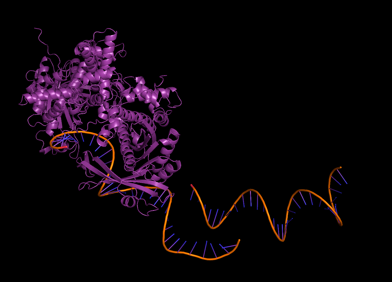 the weired structure of double strand DNA · Issue #61 · uw-ipd/RoseTTAFold2NA · GitHub