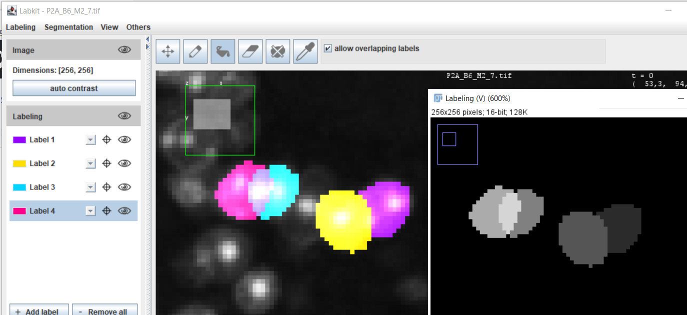 Update Labkit labeling instructions · Issue #185 · stardist/stardist · GitHub
