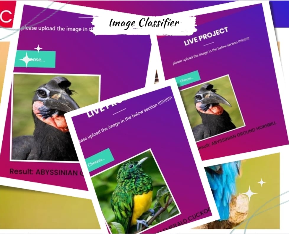 GitHub - samrajkodai/Birds-Image-Classifier