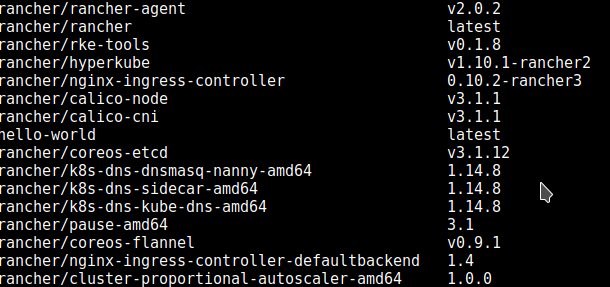 Unable to create persistent volume "Local Disk Path" from Rancher UI and API · Issue #12284 ...