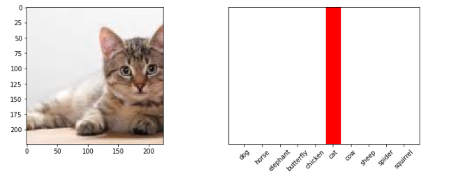 GitHub - dckakon/Image-Classification-Inception-V3-Animal-10-Dataset-