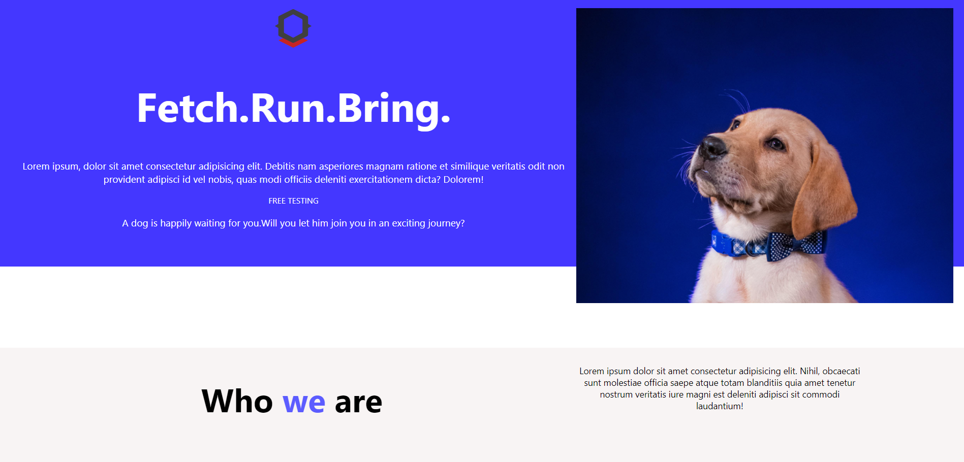 GitHub - Mxk01/wecare-animals-vanillajs