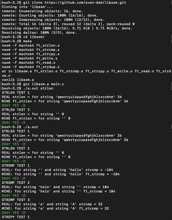 GitHub - avan-dam/libasm: The aim of this project is to get familiar with assembly language.