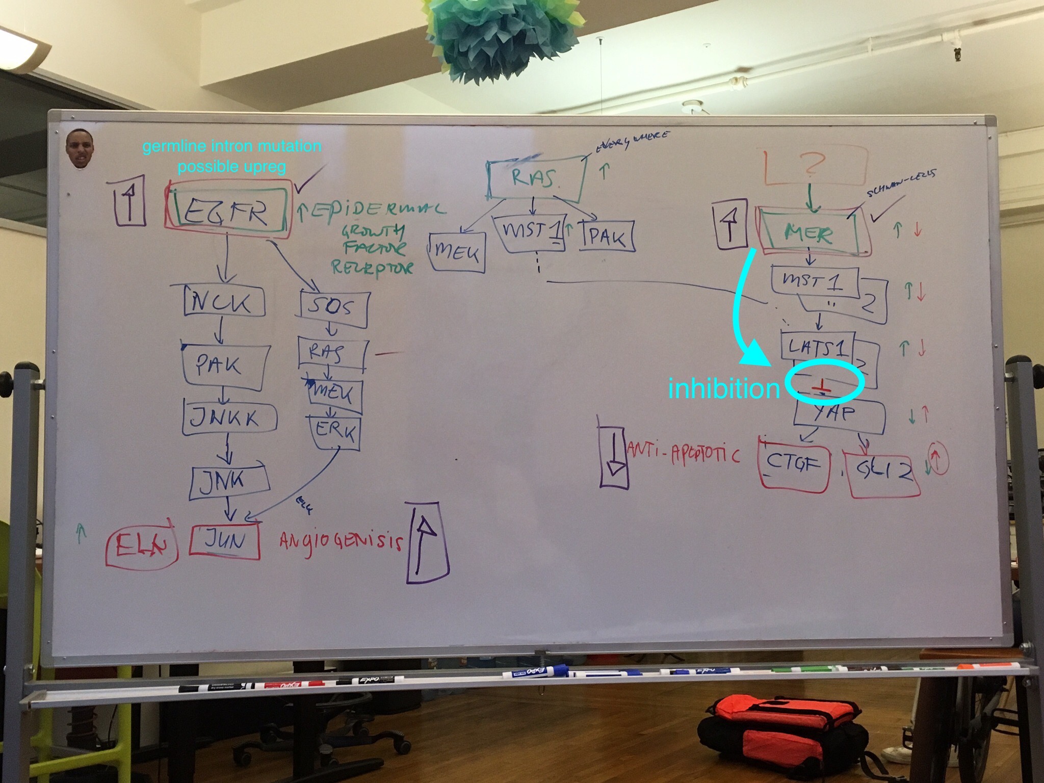 GitHub - mokasquarl/PathwayAnalysis