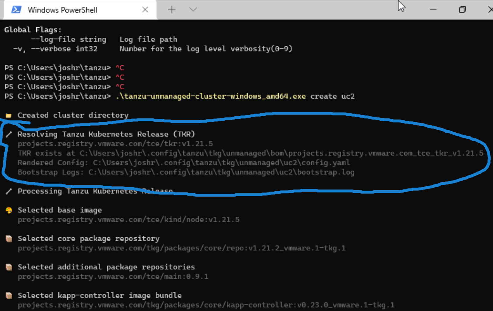 Management Cluster deploy from WIndows bootstrap to vSphere fails with Error: unable to ensure ...