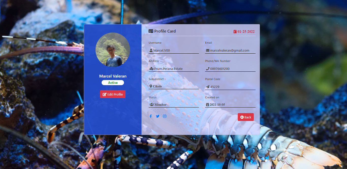 GitHub - marcelvaleran/Lobster_Community_Management_System: Config files for my GitHub profile.