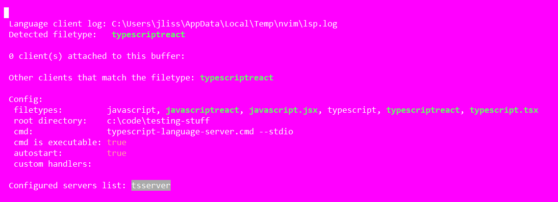 Unable to start tsserver - matching root dirctory not detected · Issue #1543 · neovim/nvim ...