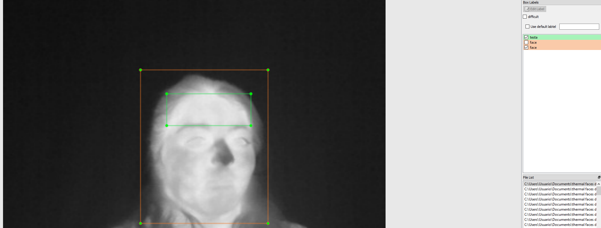 GitHub - joaothomazlemos/CNN-Face-Detector: Master's - Convolutional ...