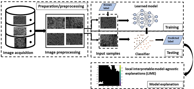 GitHub - chen0112/Microplastic_classification