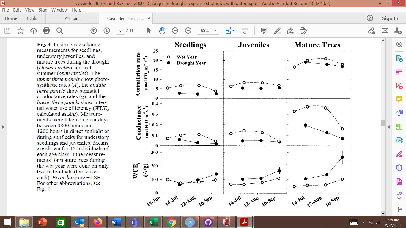 create leaf energy balance figure · Issue #6 · EcoClimLab/vertical-thermal-review · GitHub
