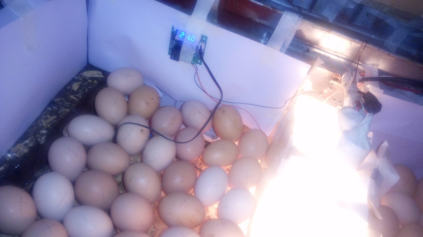 GitHub - Stevemwa/Incubator-embedded-system