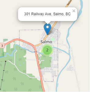 Geocoding error when using enter · Issue #5 · danagerous/school-catchment · GitHub
