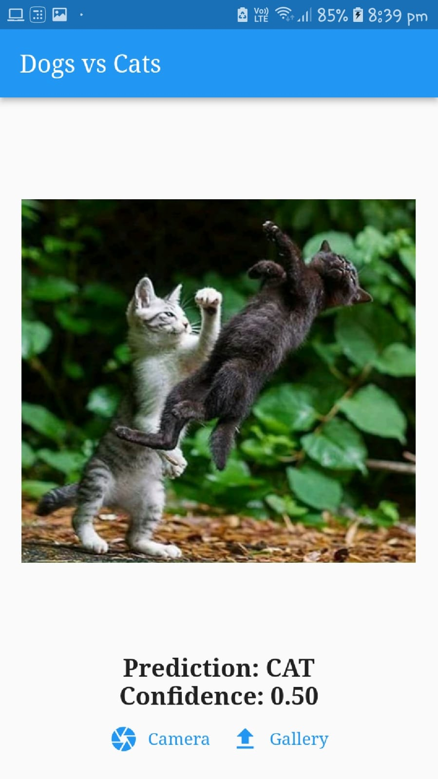 GitHub - Rugved-Pandit/dogs-vs-cats-image-classification