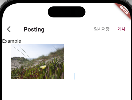 [Mobile] Image cannot be self-aligned. · Issue #1090 · singerdmx/flutter-quill · GitHub