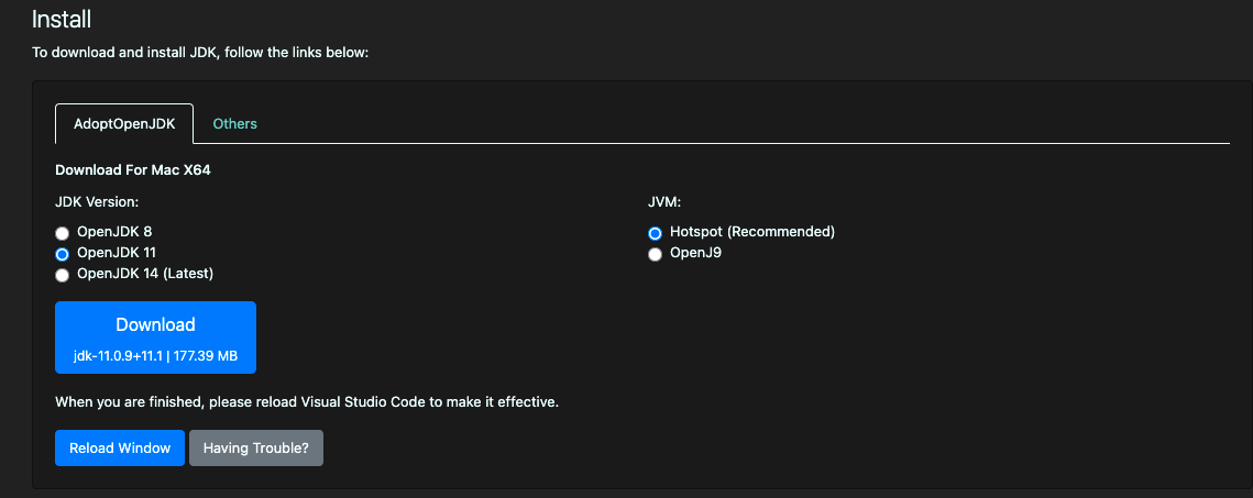 Error in every java file after updating to macOS Big Sur · Issue #1700 · redhat-developer/vscode ...