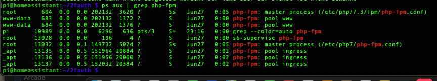 Error 404 - resource not found - /api/checkuser · Issue #34 · Bubka/2FAuth · GitHub