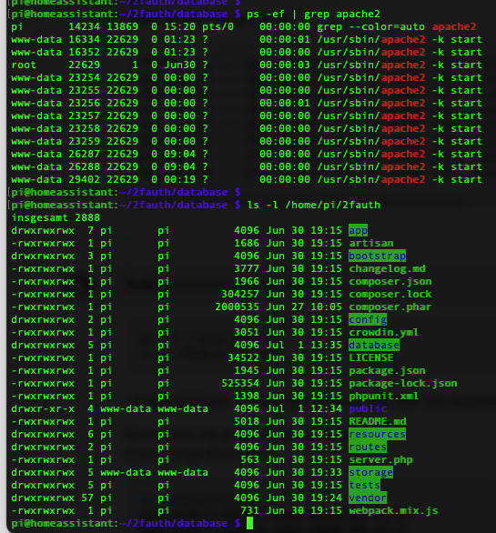 Error 404 - resource not found - /api/checkuser · Issue #34 · Bubka/2FAuth · GitHub