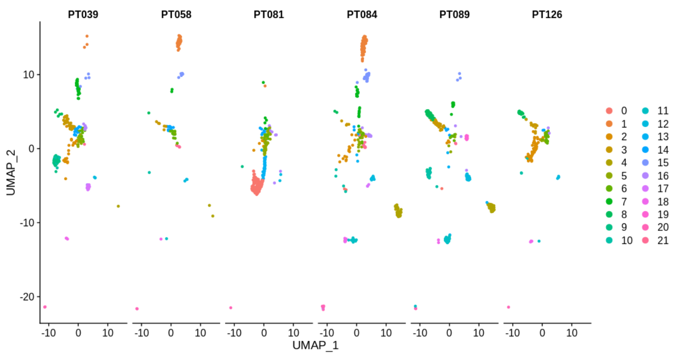 How to plot multiple observations under one column using DimPlot ...
