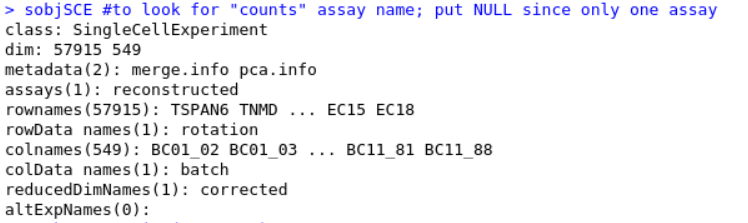 Trouble converting single cell experiment object to Seurat object · Issue #4763 · satijalab ...
