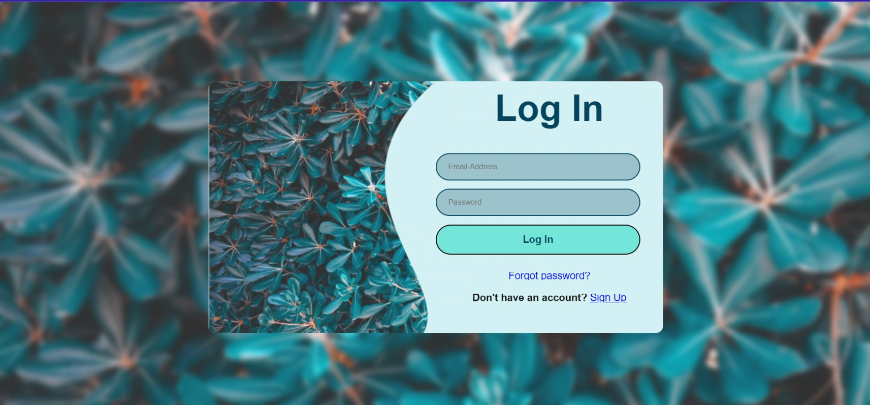 GitHub - PsSankalpa/Ceylon-Nurture: Second year grp project