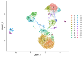 Why cluster marker genes disappeared/appeared in VLnPlot with less or ...