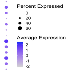 Re-normalize, scale and regress RNA Assay counts to visualize gene expression in SCTransform ...