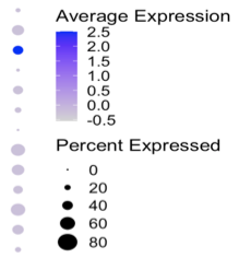 Re-normalize, scale and regress RNA Assay counts to visualize gene expression in SCTransform ...