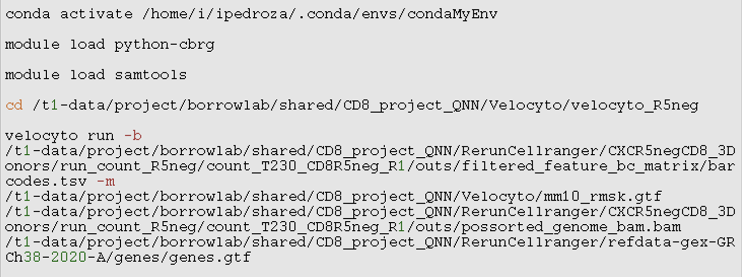 How to fix MemoryError (f" bam file #{k} could not be sorted by cells ...