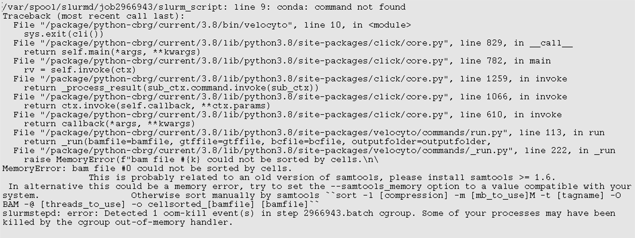 How to fix MemoryError (f" bam file #{k} could not be sorted by cells ...