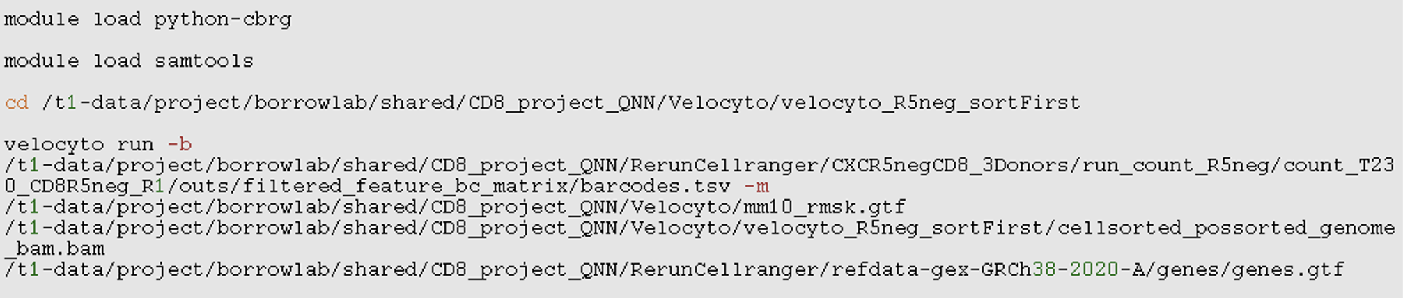 How to fix MemoryError (f" bam file #{k} could not be sorted by cells ...
