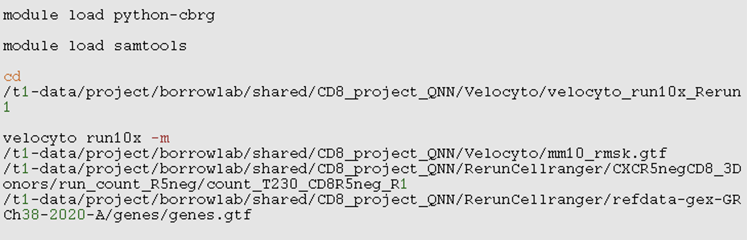 How to fix MemoryError (f" bam file #{k} could not be sorted by cells ...