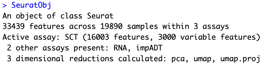 SaveH5Seurat then Convert to h5ad of a Seurat obj removed genes in the ...