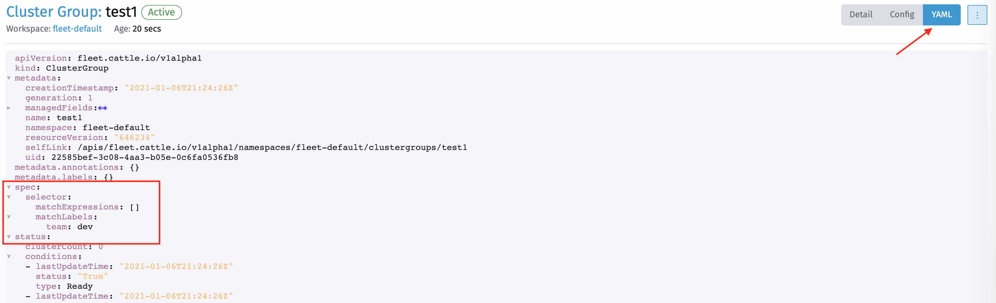 Fleet Duplicated Cluster Selectors Show On The Cluster Groups Detailed Page · Issue 2174