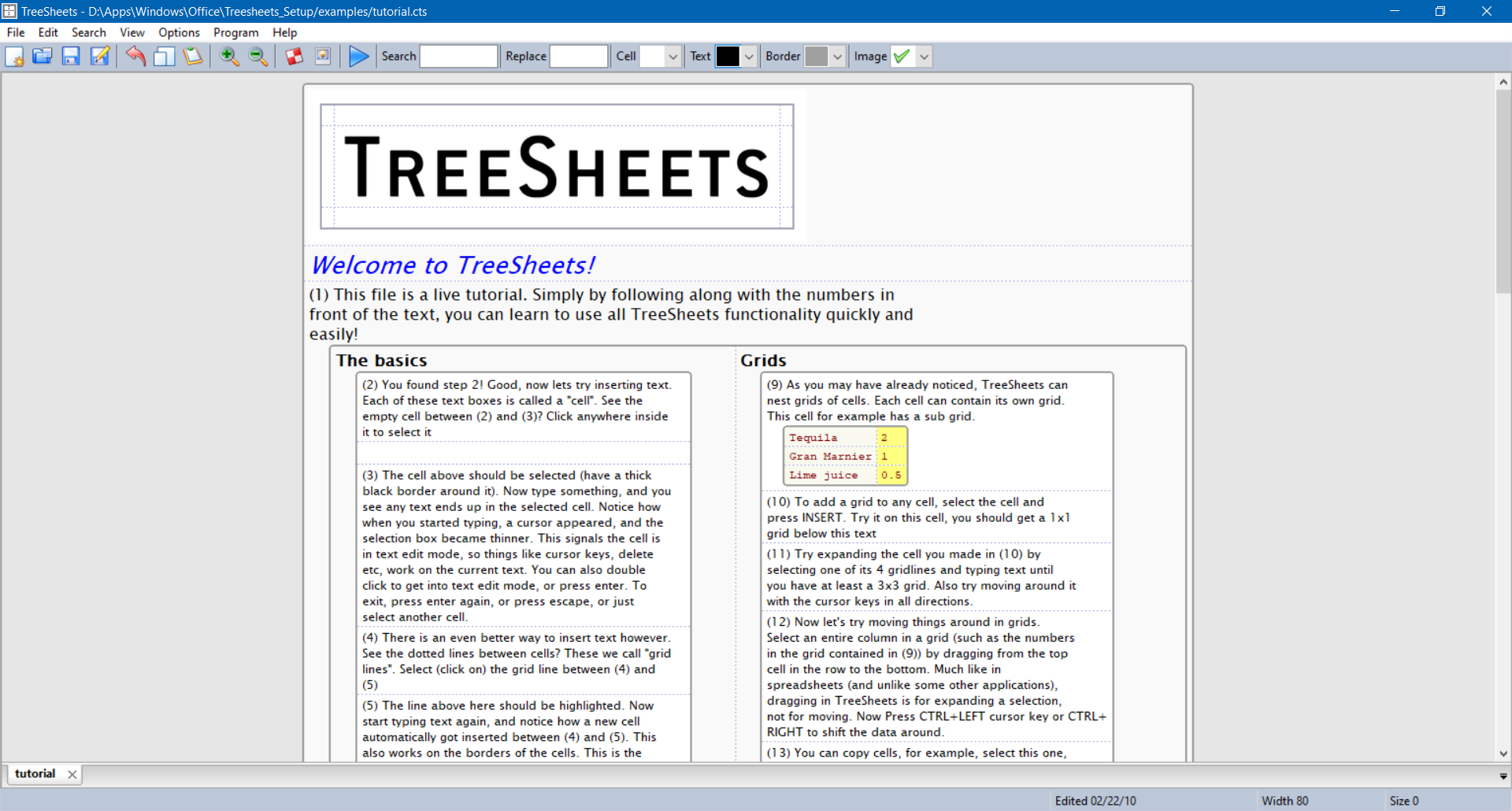 Every thing is Mirrored! · Issue #159 · aardappel/treesheets · GitHub