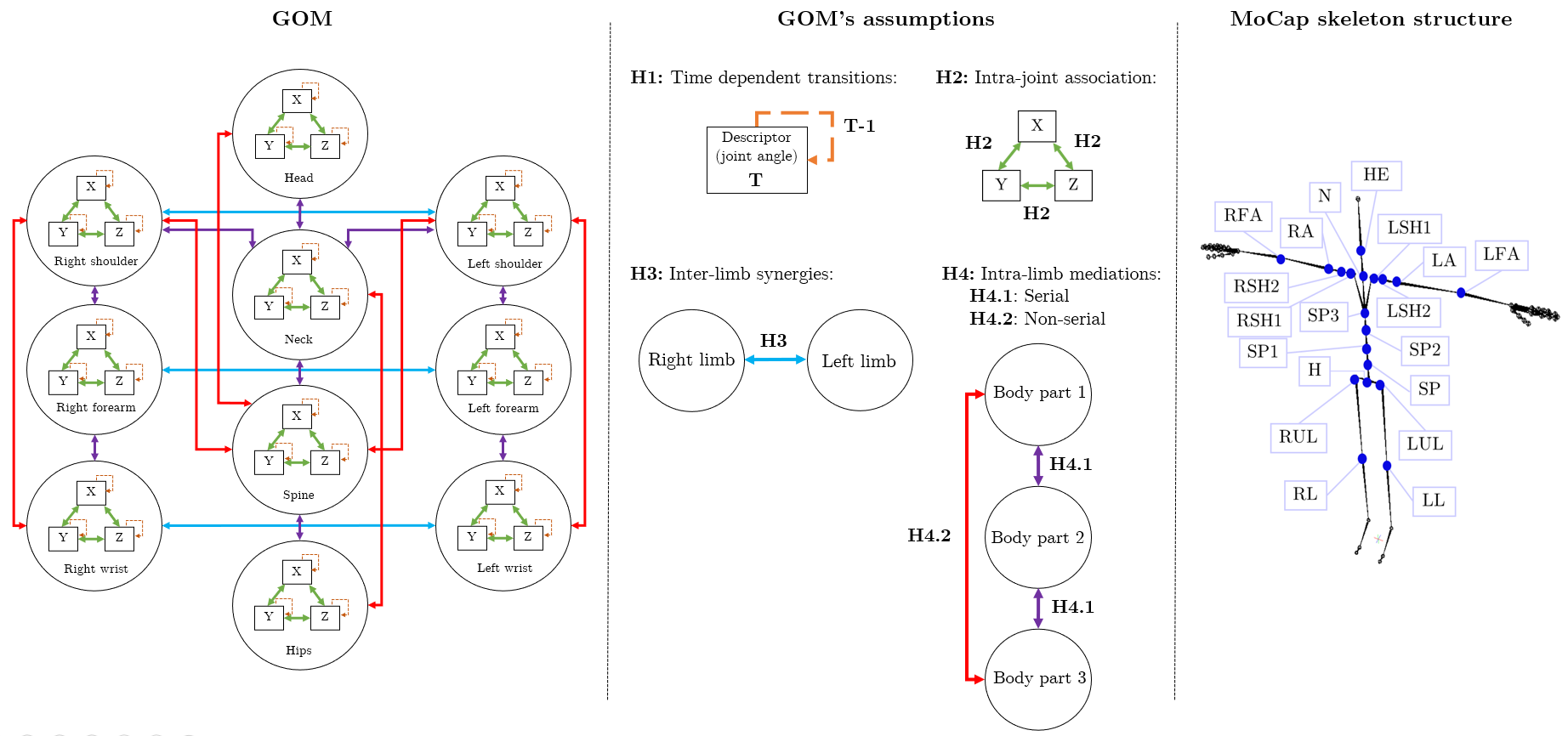 GitHub - olivas-bre/GOM: This repository provides the code for creating interpretable human ...